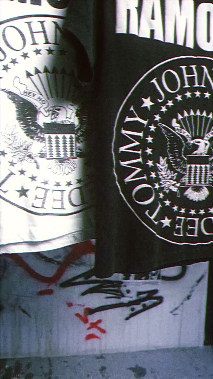 RAMONES CLASSIC SEAL VINTAGE T-SHIRT ‐ OTHER RAMONES CLASSIC SEAL VINTAGE T-SHIRT ‐ OTHER